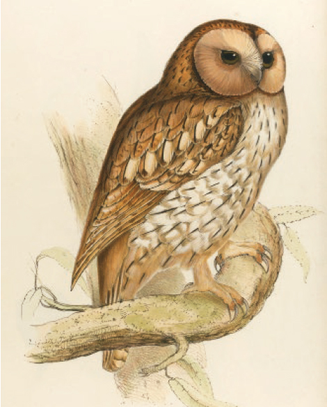 Pascoli - Biblioteca Zanichelli